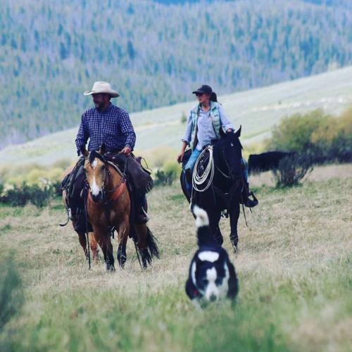 Reminisce Angus Ranch uses data to achieve a measurable difference in ...