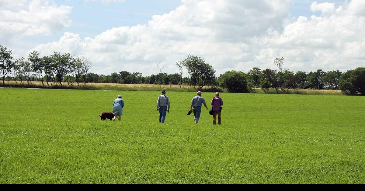 Individual farms make strides for sustainability