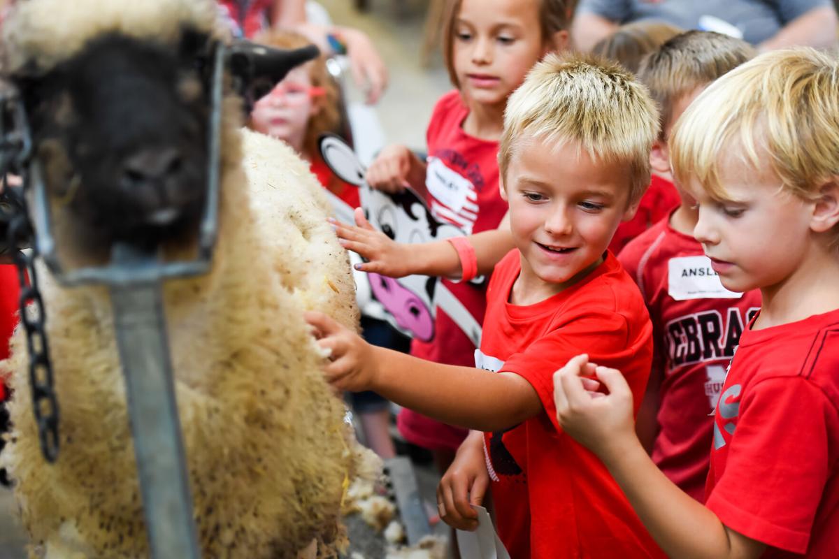 All roads lead to fun at the Nebraska State Fair