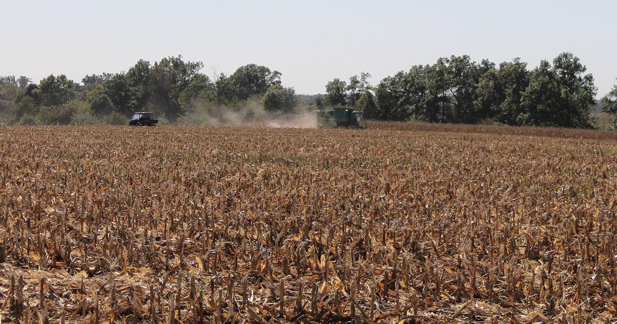 Fall manure applications can be effective