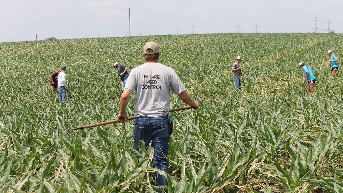Bean walking leads to a positive path for students