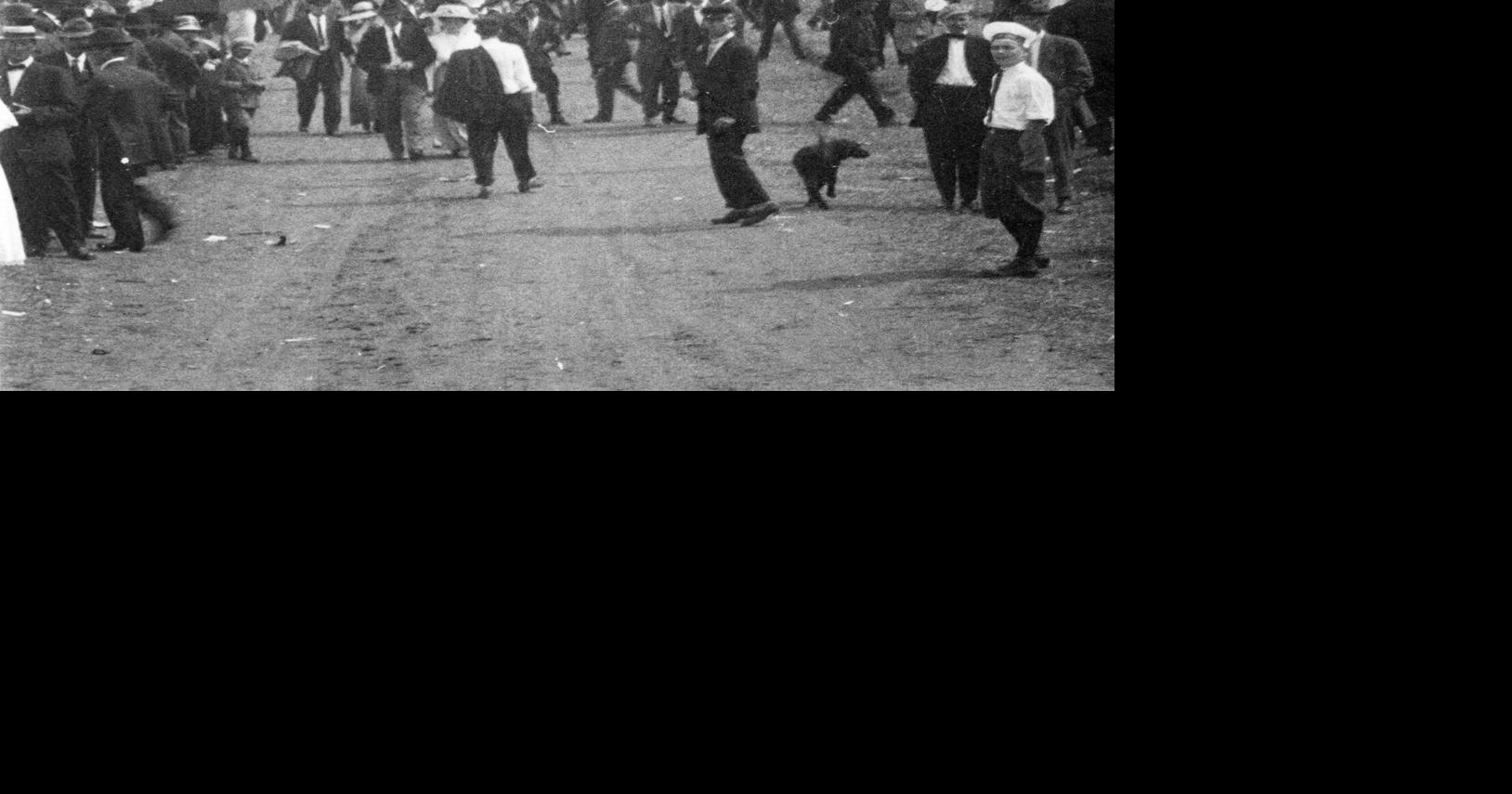 A fair history