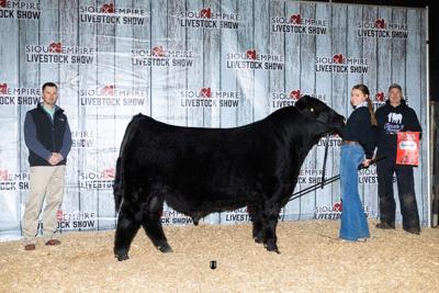 God's Country Angus has top selling bull
