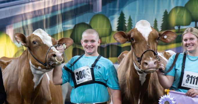 Ohio cow tops show