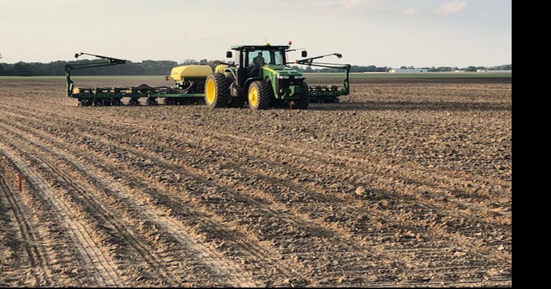 Safeguard crops amid weather uncertainty