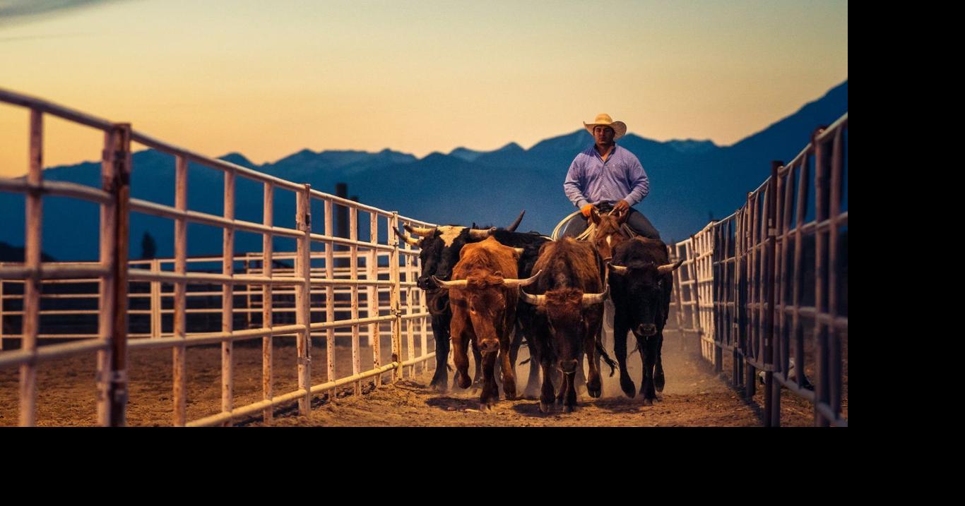Low cattle inventory results in more feedlot heifers, long feeding