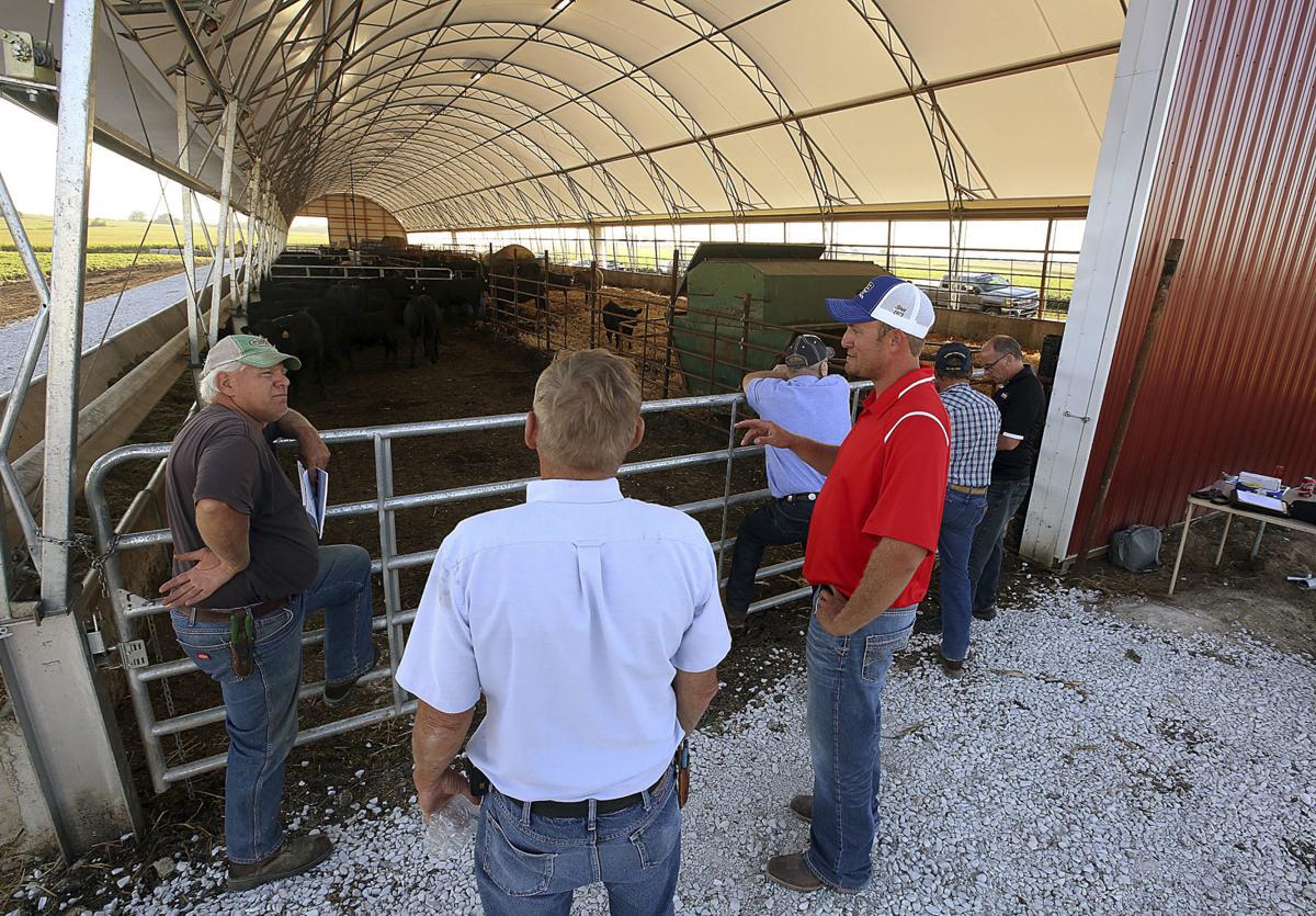 Hoop Barns Offer Versatility For Calving Business
