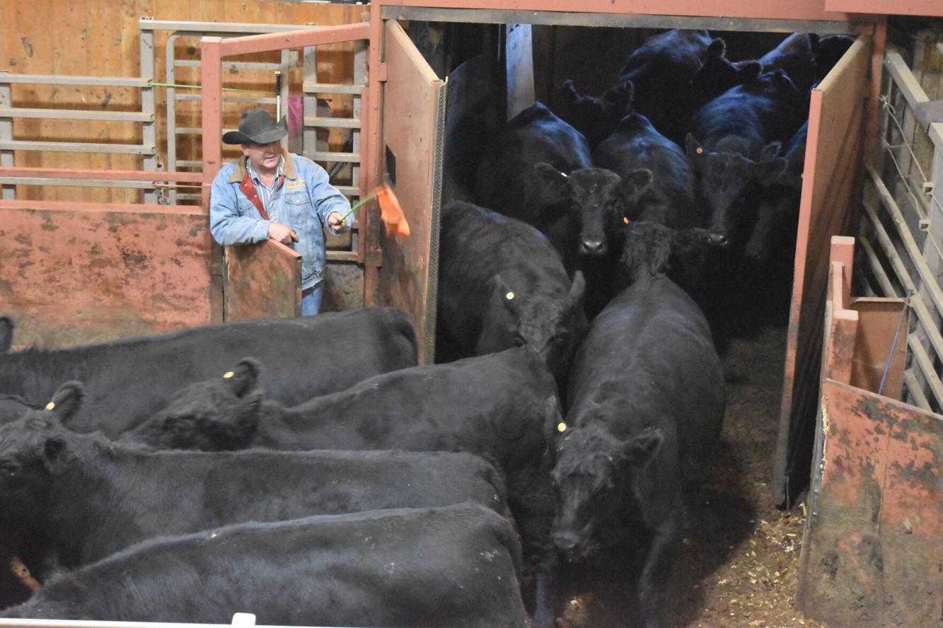Kimball Livestock Exchange: A cattleman’s legacy