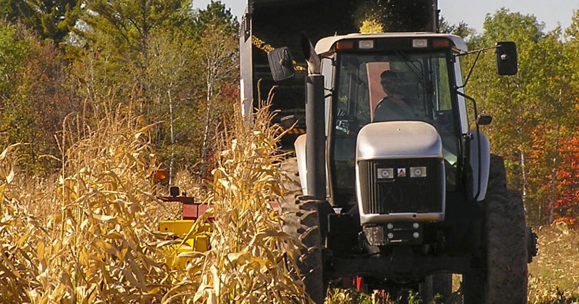 From the Fields: Jason Maloney