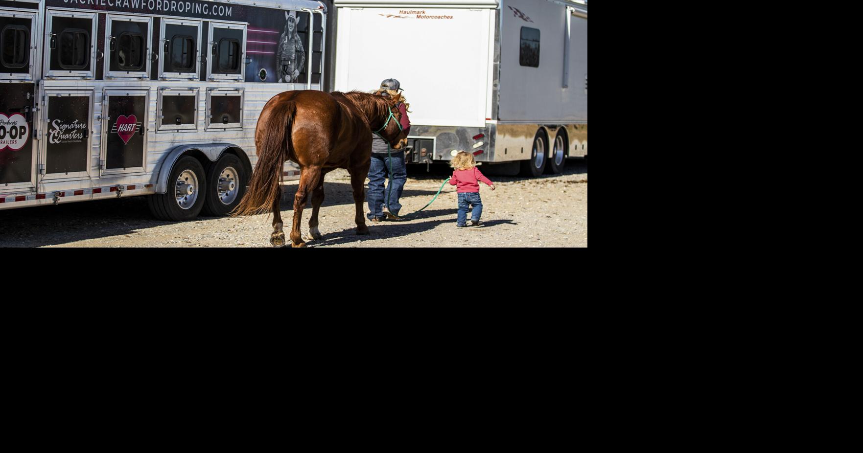 Prevention is key component of healthy rodeo horses