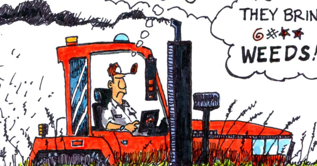 Corn Time by Bob Lang