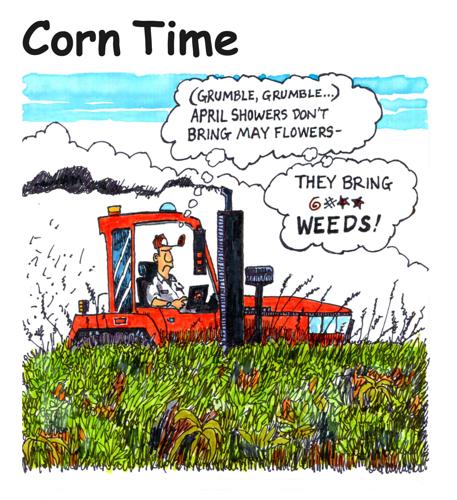 Corn Time by Bob Lang