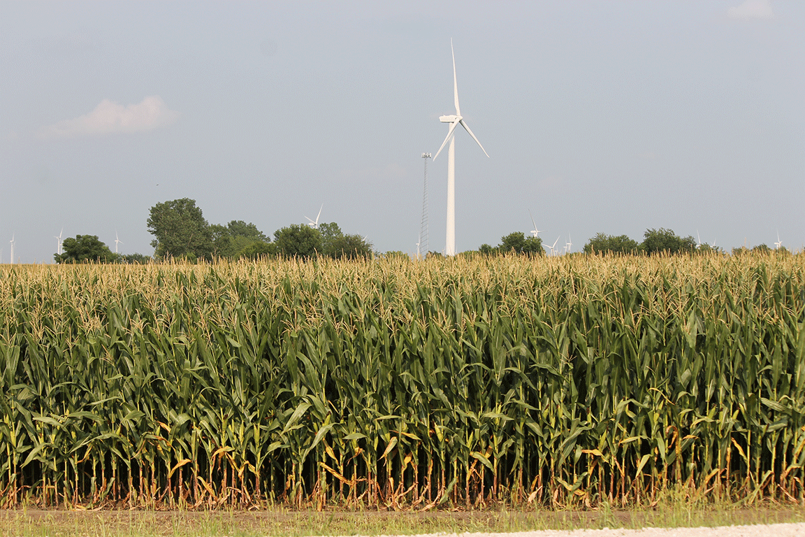 Iowa farmer sues over wind-turbine fires
