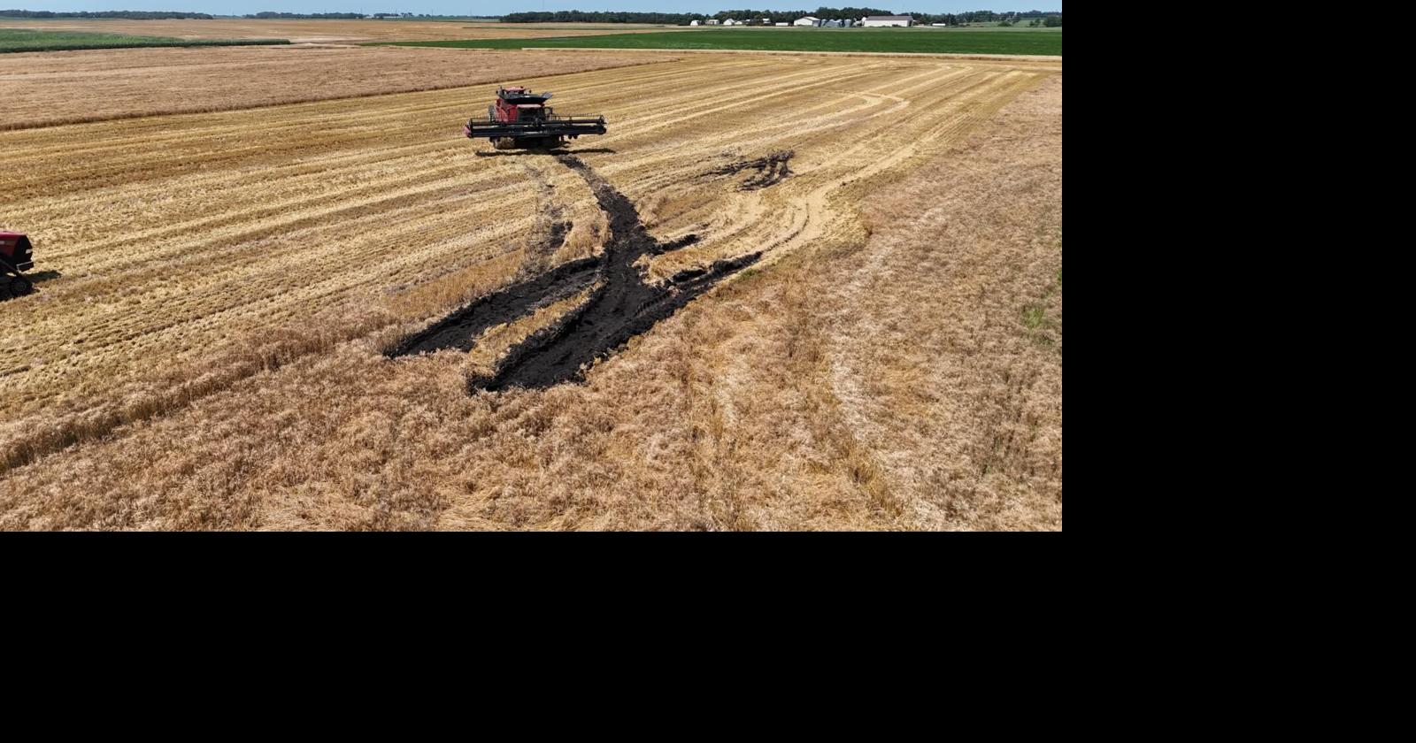 Fieldwork stalled, soybeans struggling in wet conditions
