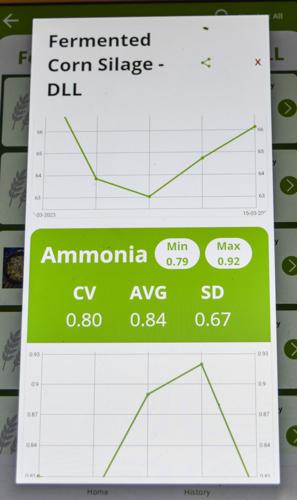 Fermented corn silage ammonia level analysis results