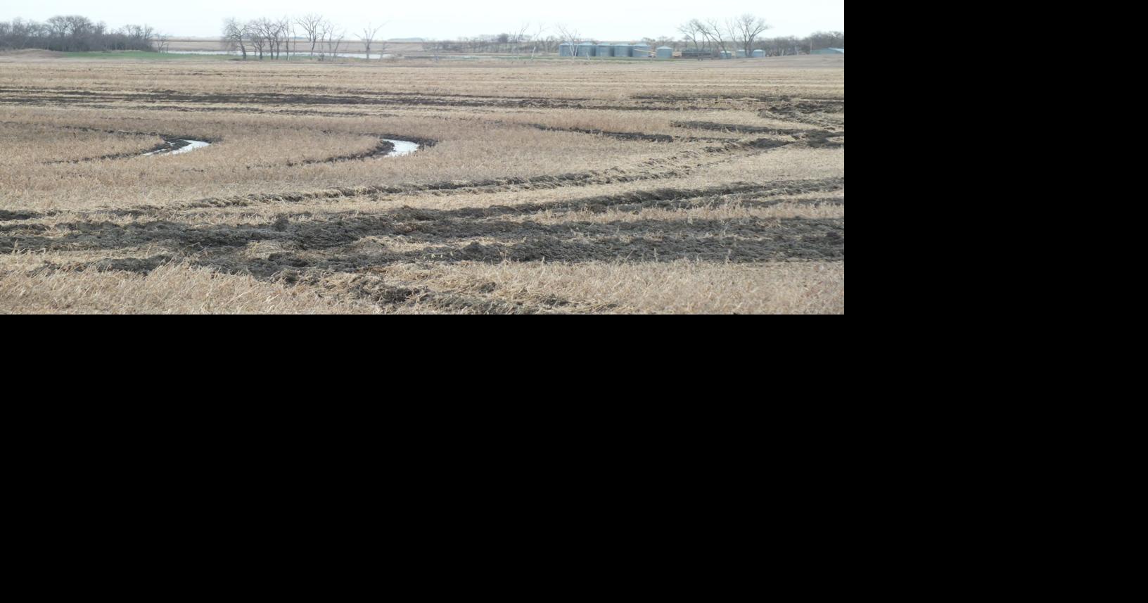 Saturated fields limit harvest activity