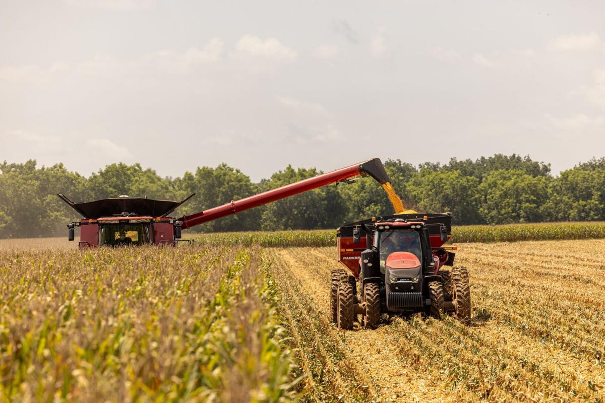 Harvest automation: The latest ag tech trend