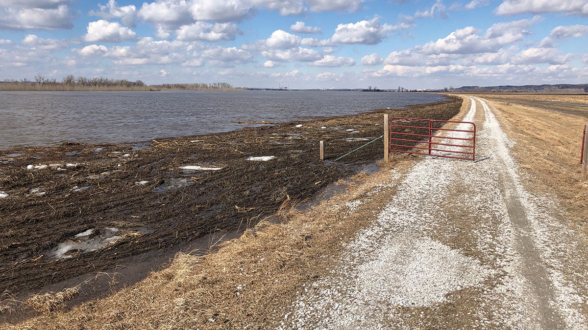 Farmers prep flooded fields for a new year