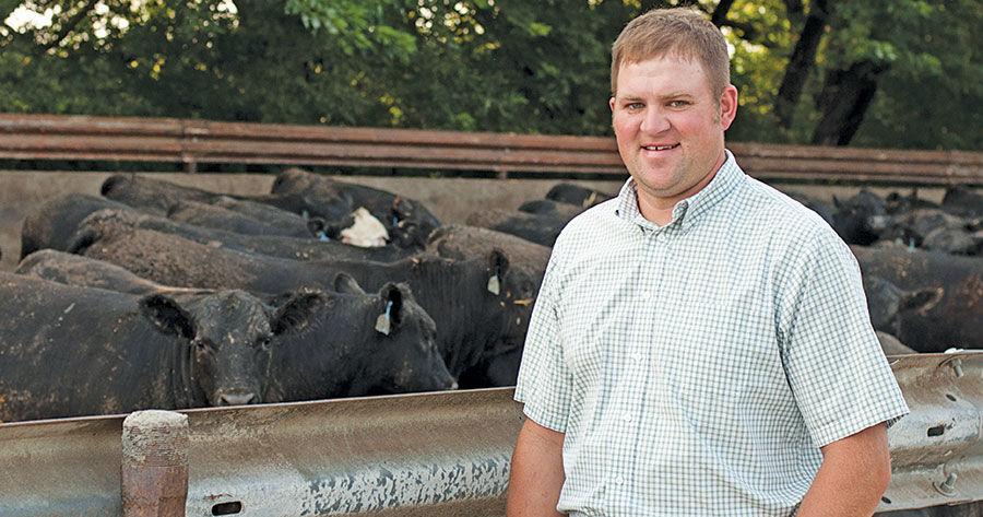 Iowa producers part of cattle feeding increase in the Midwest