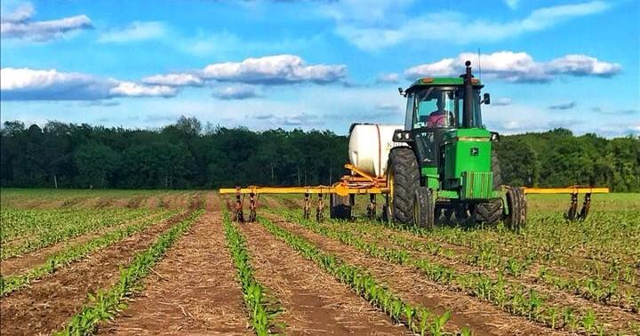 Montana FSA adds beginning farmer and rancher outreach staff