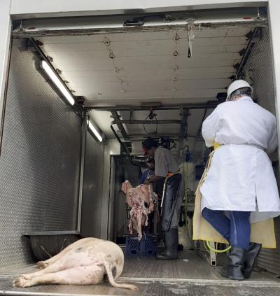Businesses specialize in on-farm slaughter