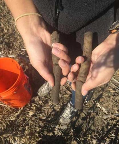 three methods for soil sampling