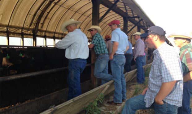 BeefSD tour: Hoop beef systems