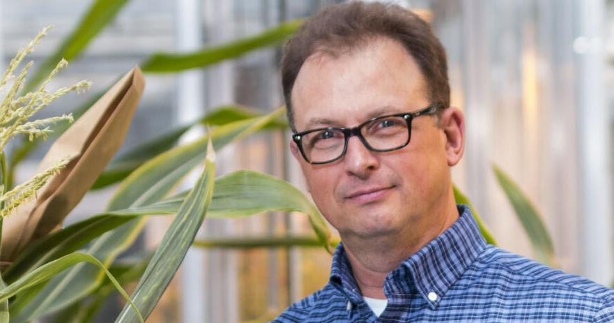 Funding focuses on next-generation crops