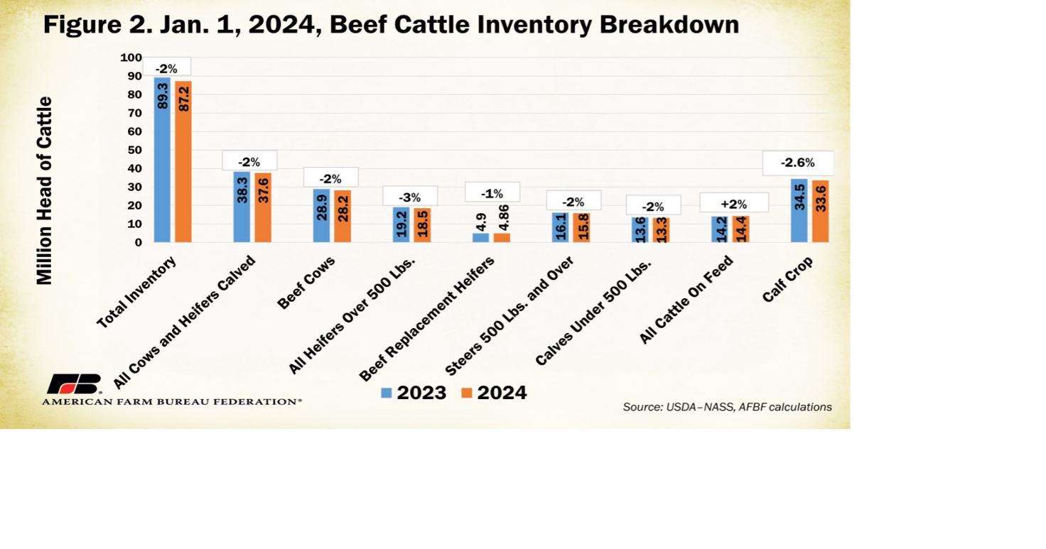 Figure 2. Jan 1, 2024, Beef Cattle Inventory Breakdown
