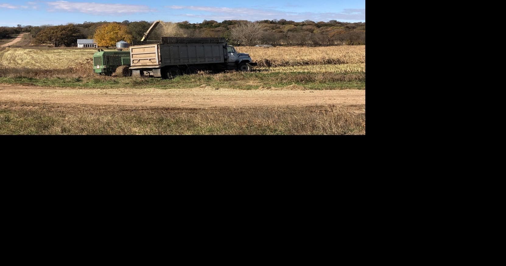 Crop Watcher: Silage harvest means work from sun up to sun down