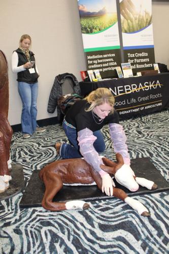 Vets offer tips for managing Mother Nature during calving season