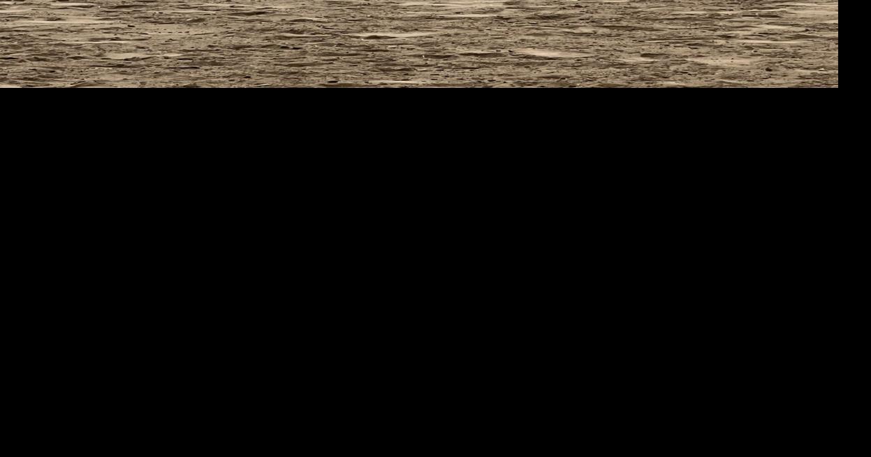 Kearney FFA members win big at State Fair