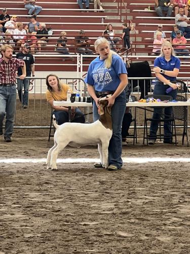 Kearney FFA members win big at State Fair