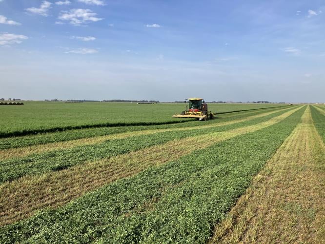 dakota fields johnone