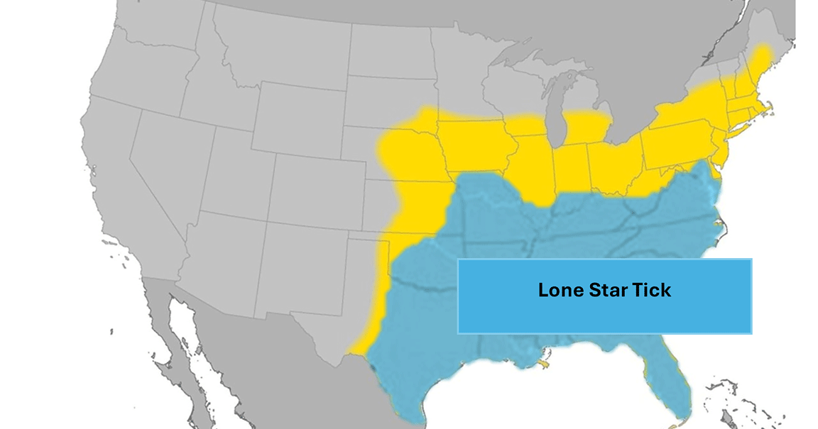 Lone star ticks spread allergen north