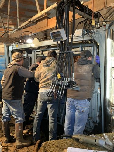 Miller Angus (1).jpg