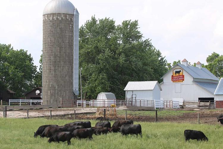 Iowa Heritage Farm plays a role in Angus history