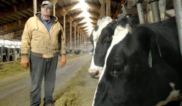 North Dakota study shows dairy processing potential