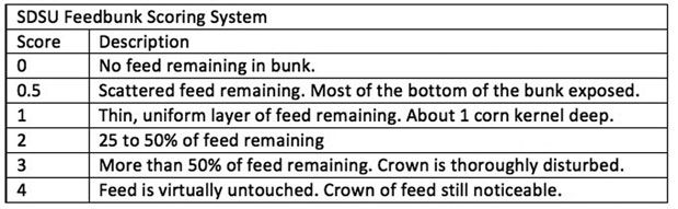 Feeding cattle more than a science