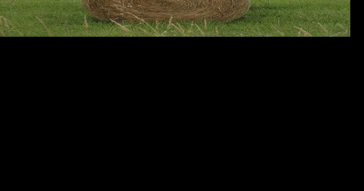 Can we schedule some sunshine?