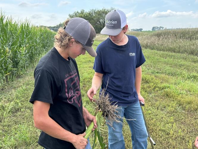 A busy year for the ever-growing Arlington FFA Chapter