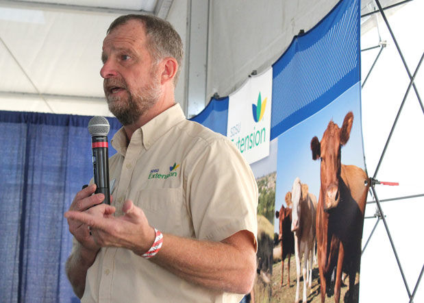 SDSU studies best way to dispose of diseased pigs