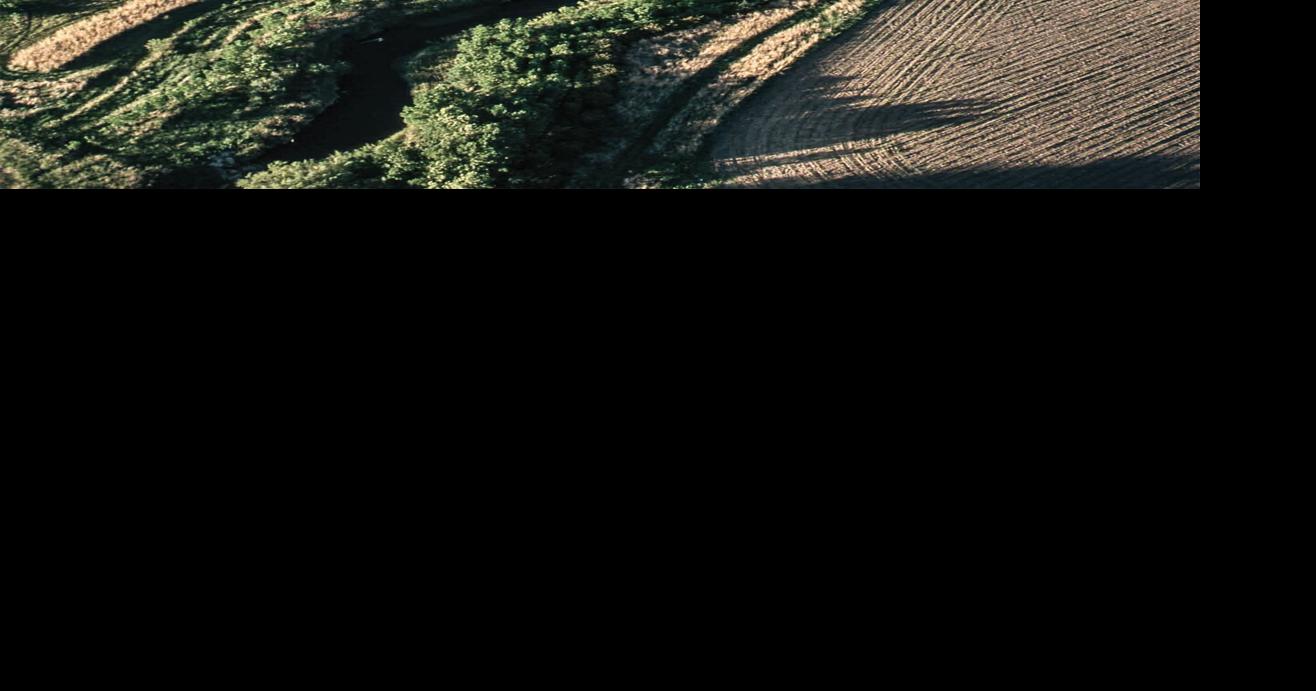 riparian forest buffer nrcs