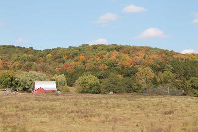 Applications open for Missouri Century Farms
