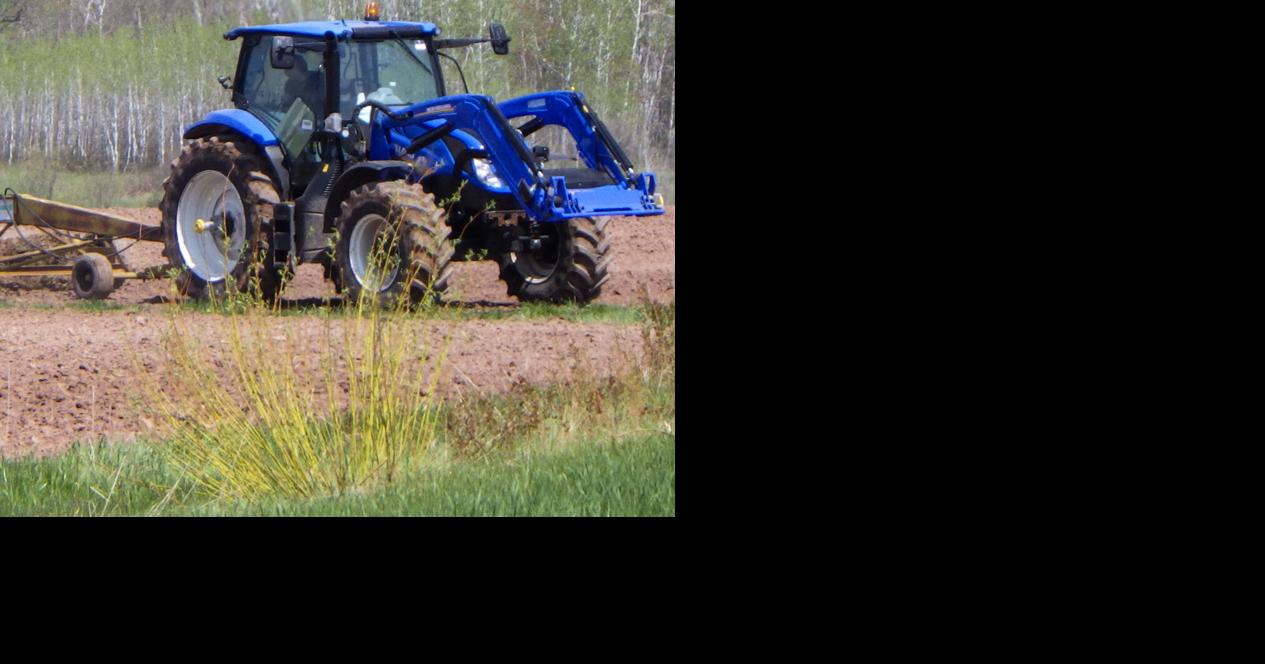 From the Fields: Jason Maloney