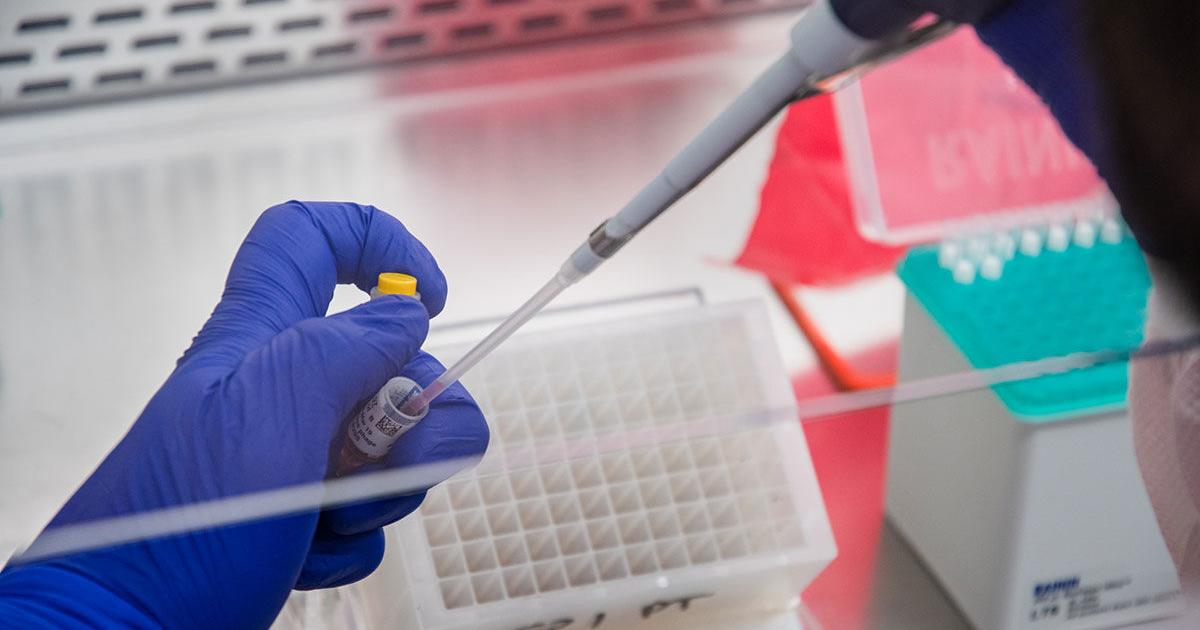 Vietnam, U.S. creating first ASF vaccine