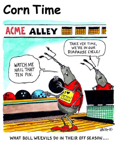 Corn Time by Bob Lang