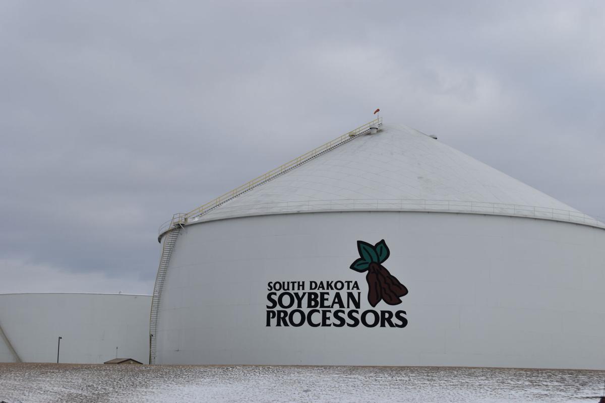 soybean plant mitchell sd