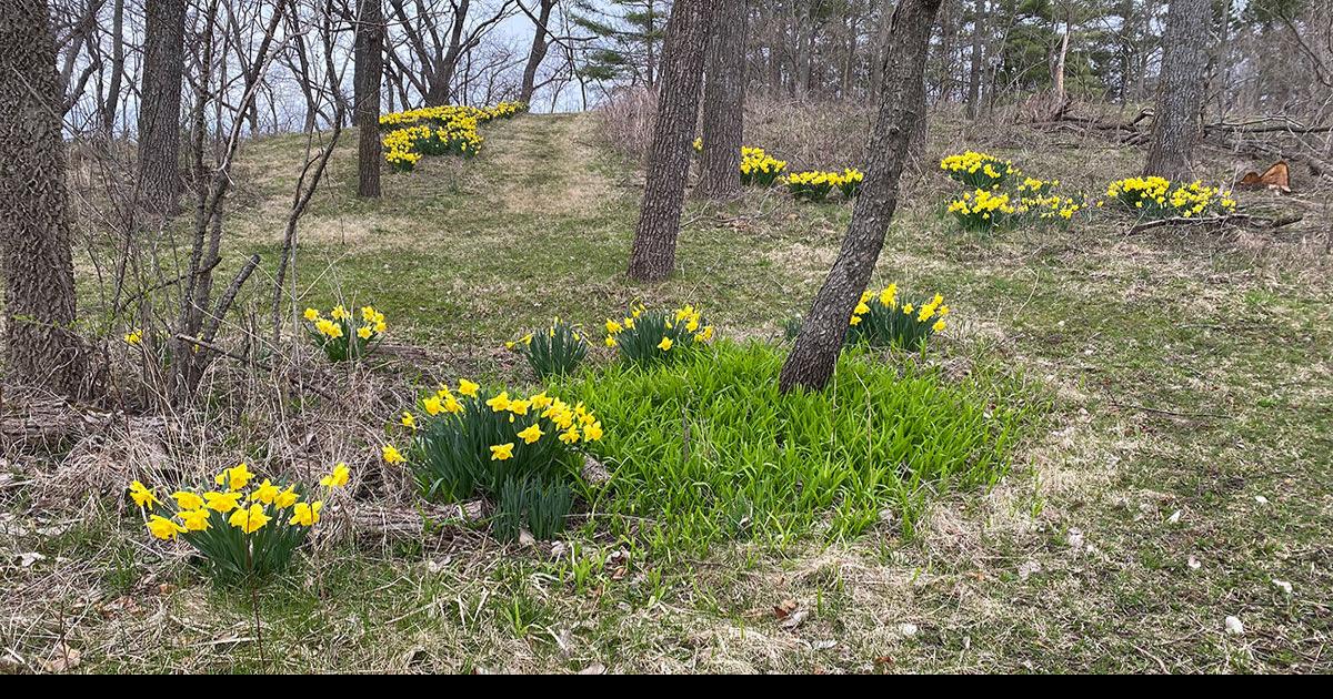 Flowers are blooming, ticks are crawling