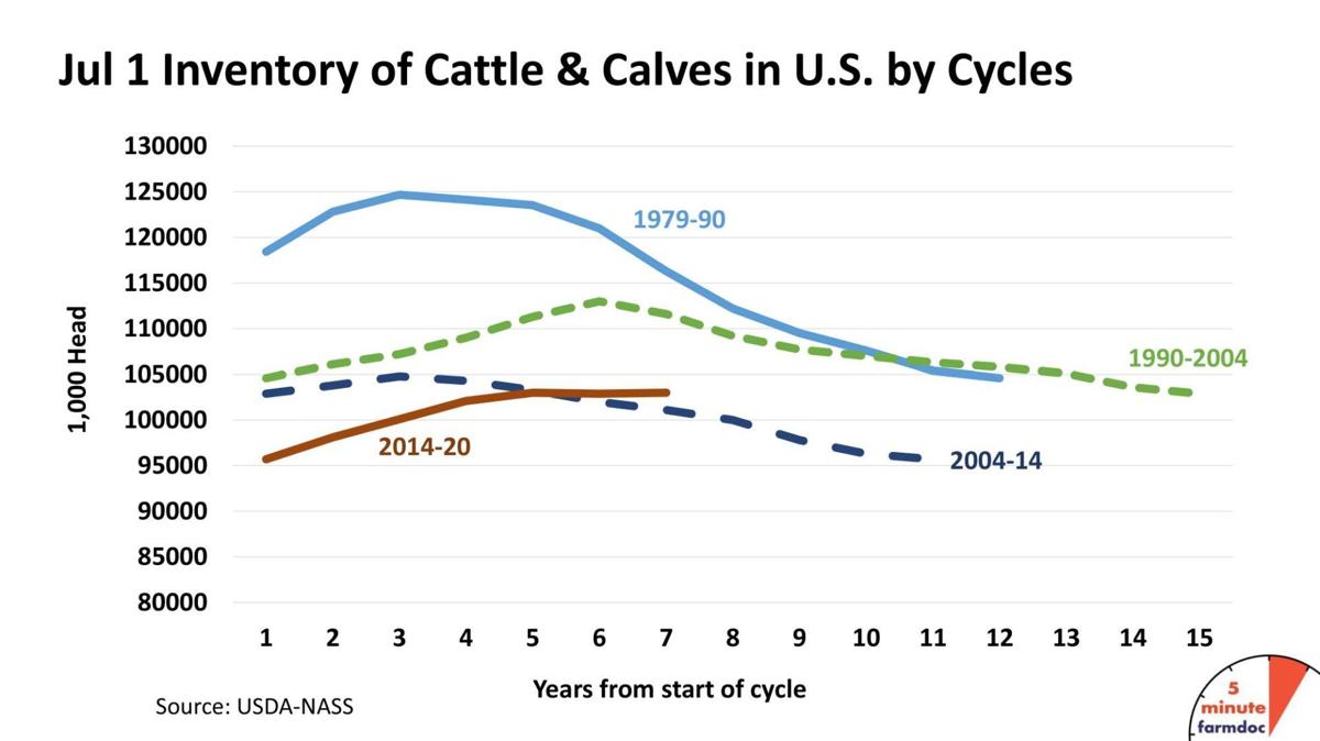 Cattle cycle follows trend